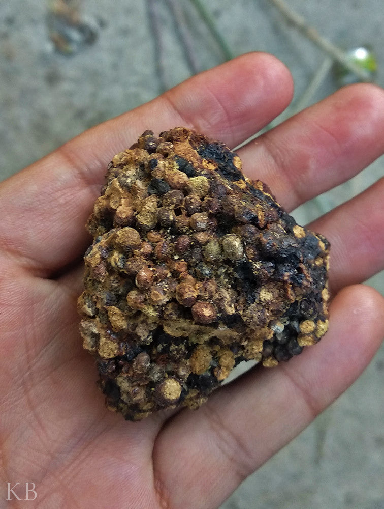 Koshur Premium Himalayan Shilajit | Pure Shilajit | Kashmir Box ...